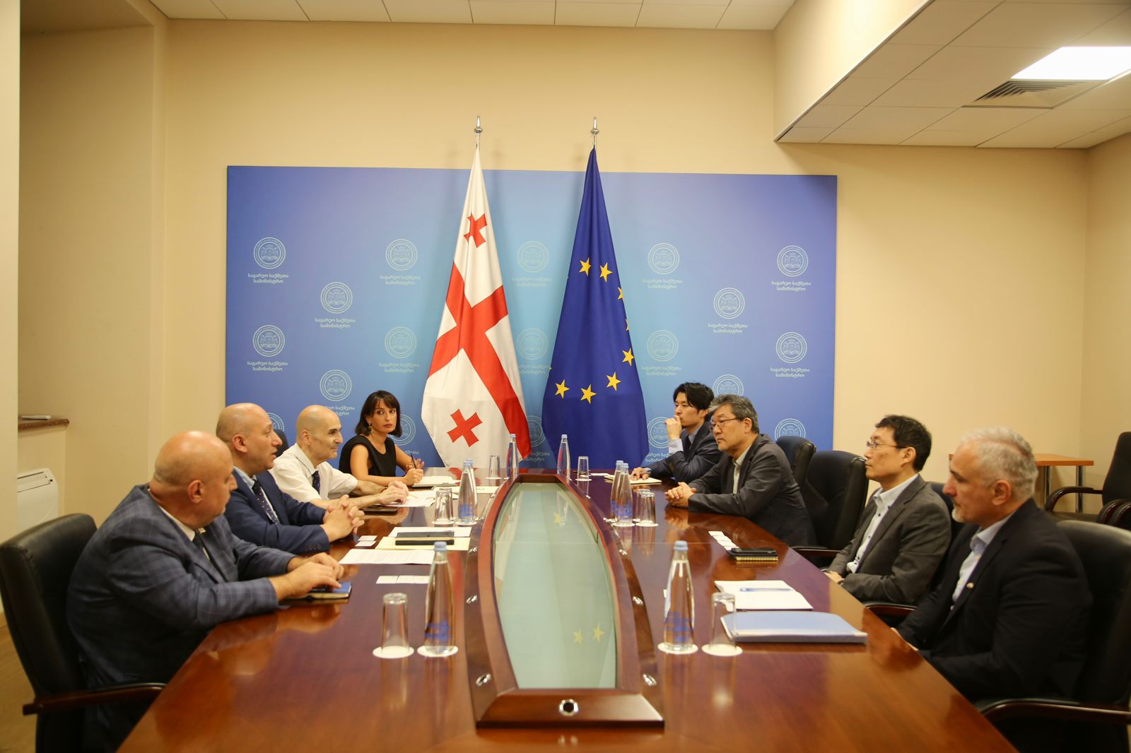 The Georgian Deputy Foreign Minister has met with the acting and newly ...