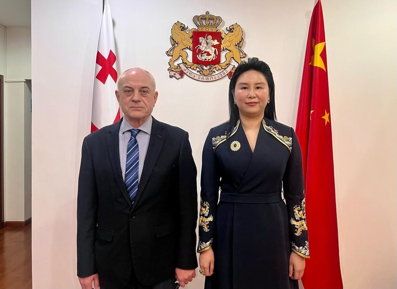 Meeting with a Chinese company | Embassy of Georgia to the People`s ...