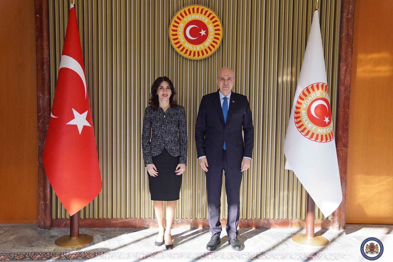 The Georgian Foreign Minister has met with the Speaker of the Turkish ...